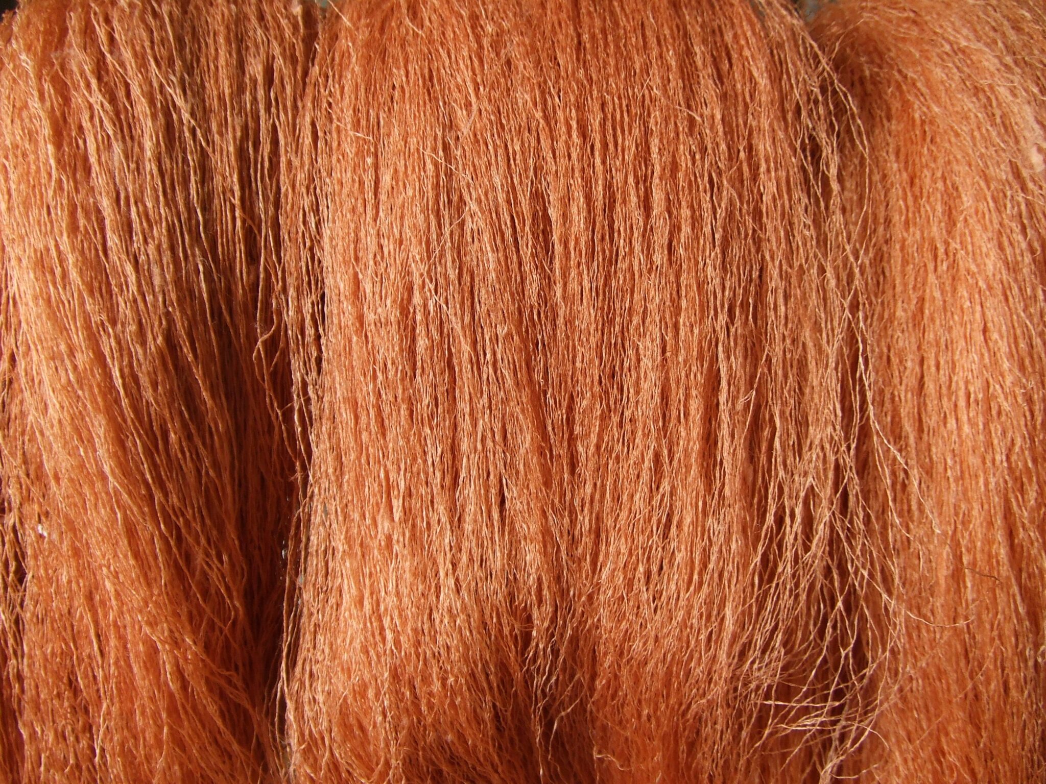 ささやかな楽しみ | クサキゾメ・テオリ 佐藤亜紀の布