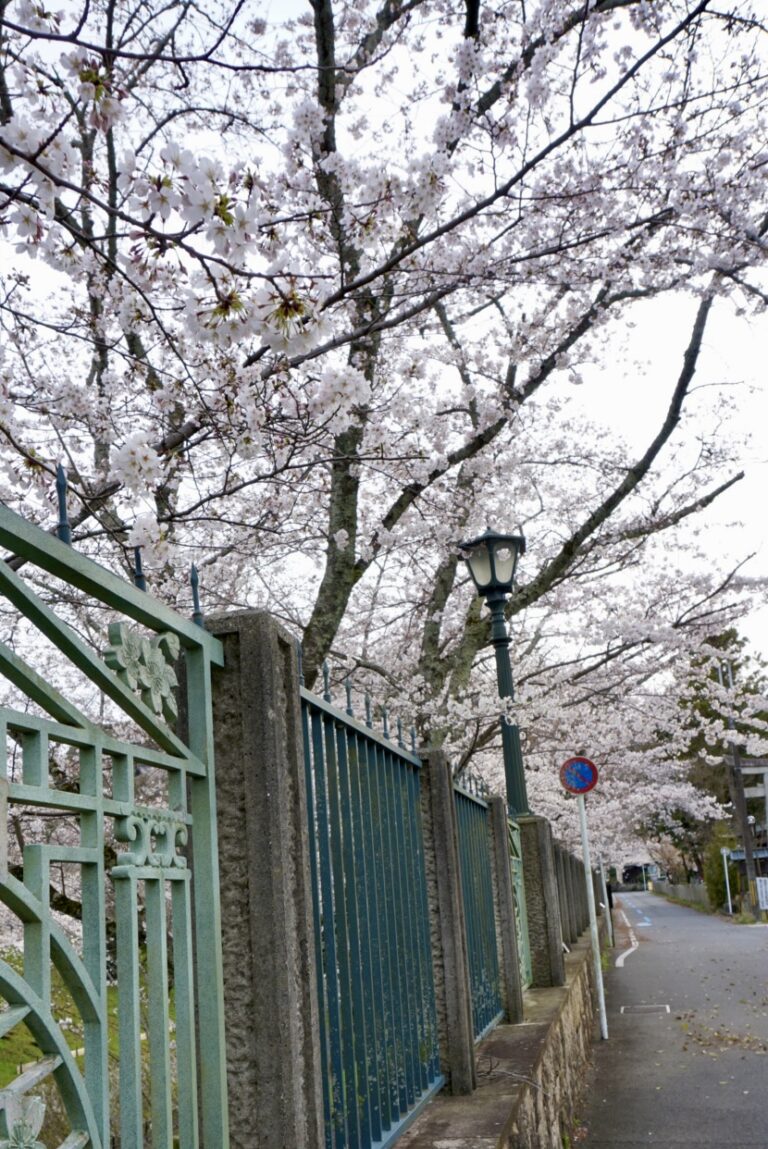 KIKKAKEKKOさんで展示中です！ | クサキゾメ・テオリ 佐藤亜紀の布